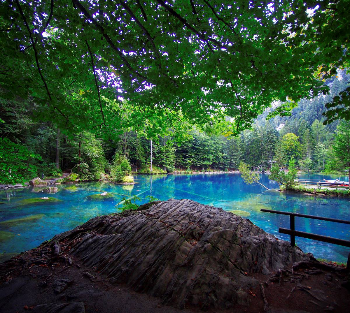 The Blausee Nature Park - Blausee AG
