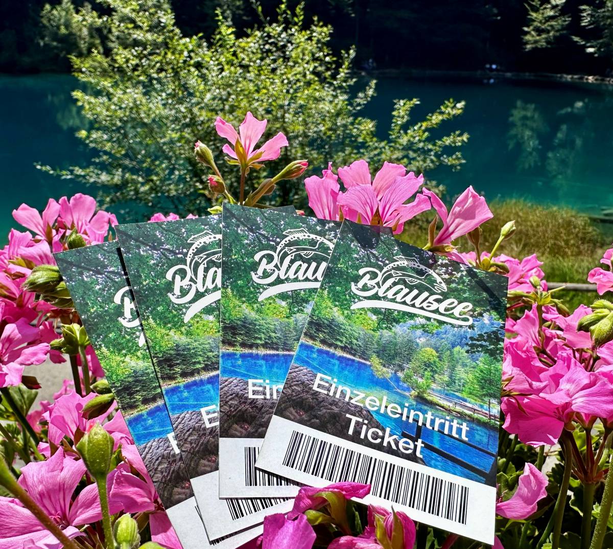 FAQ - Frequently asked questions - Blausee AG